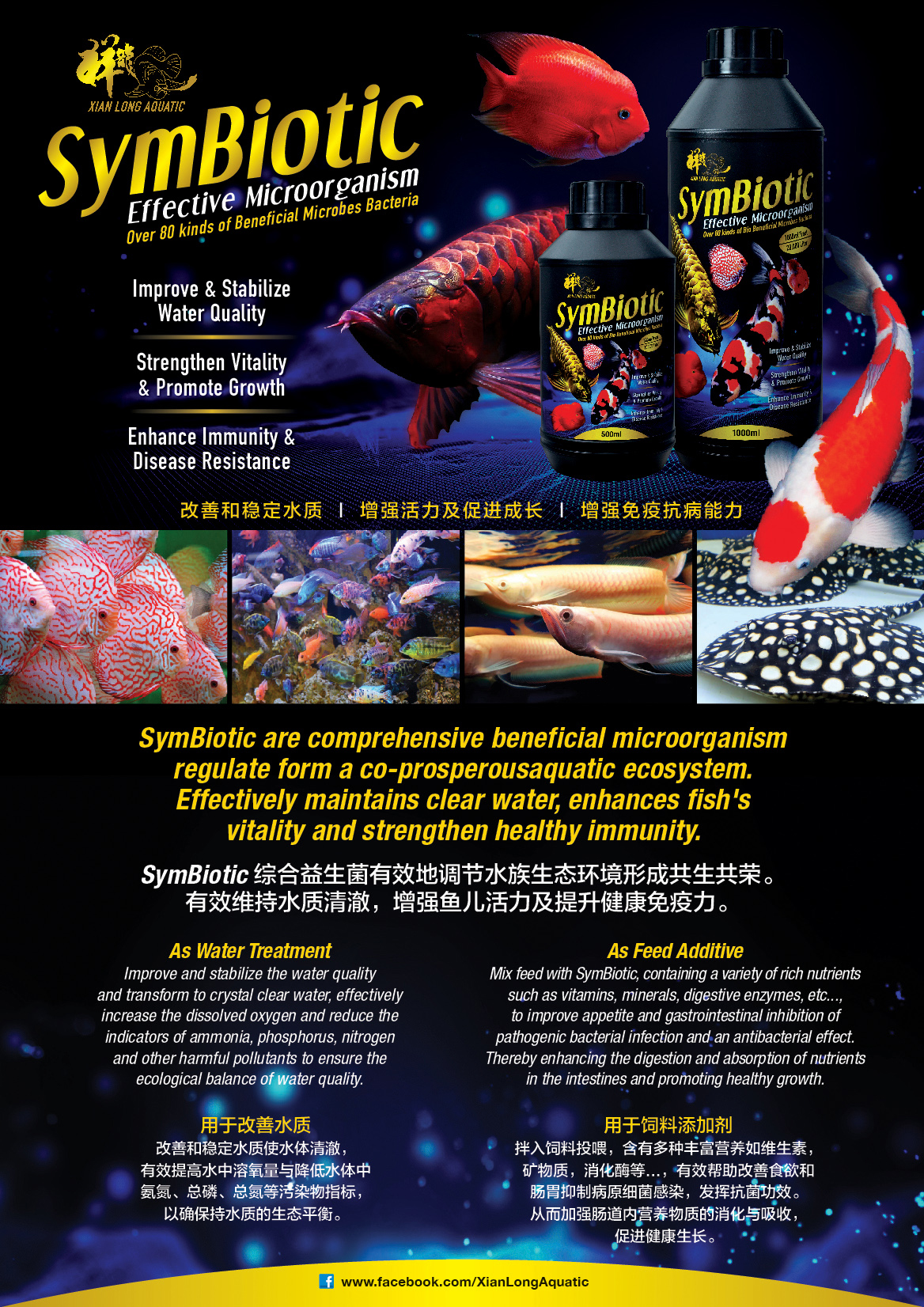 SymBiotic – AVEFLEX